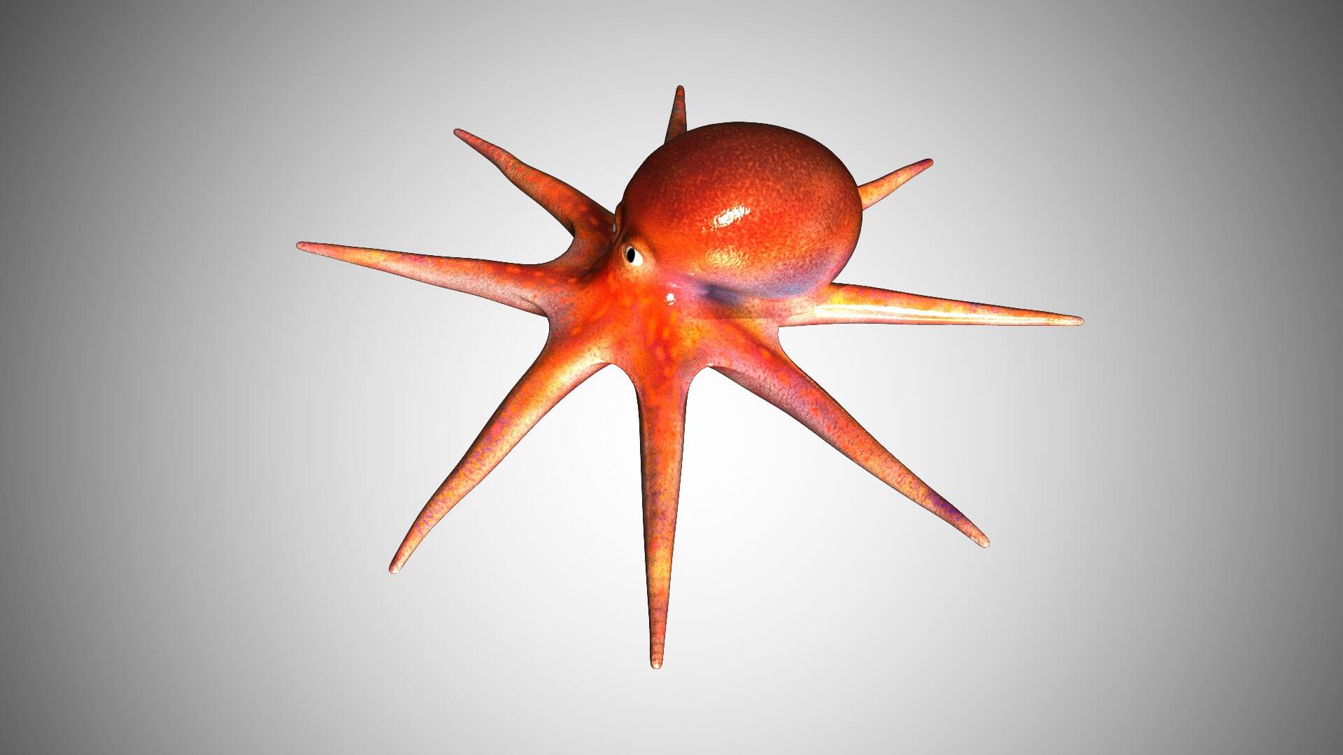 Octopus - 3D Model by george55555