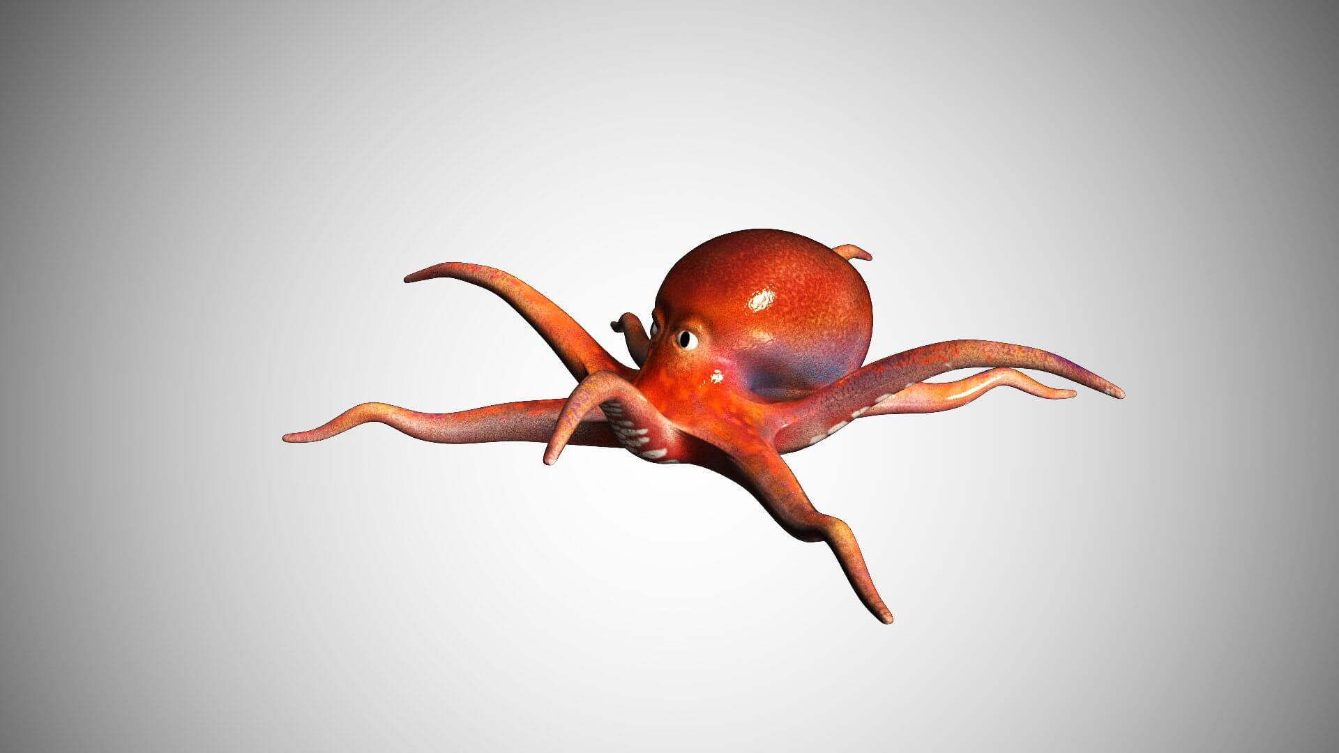 Octopus - 3D Model by george55555