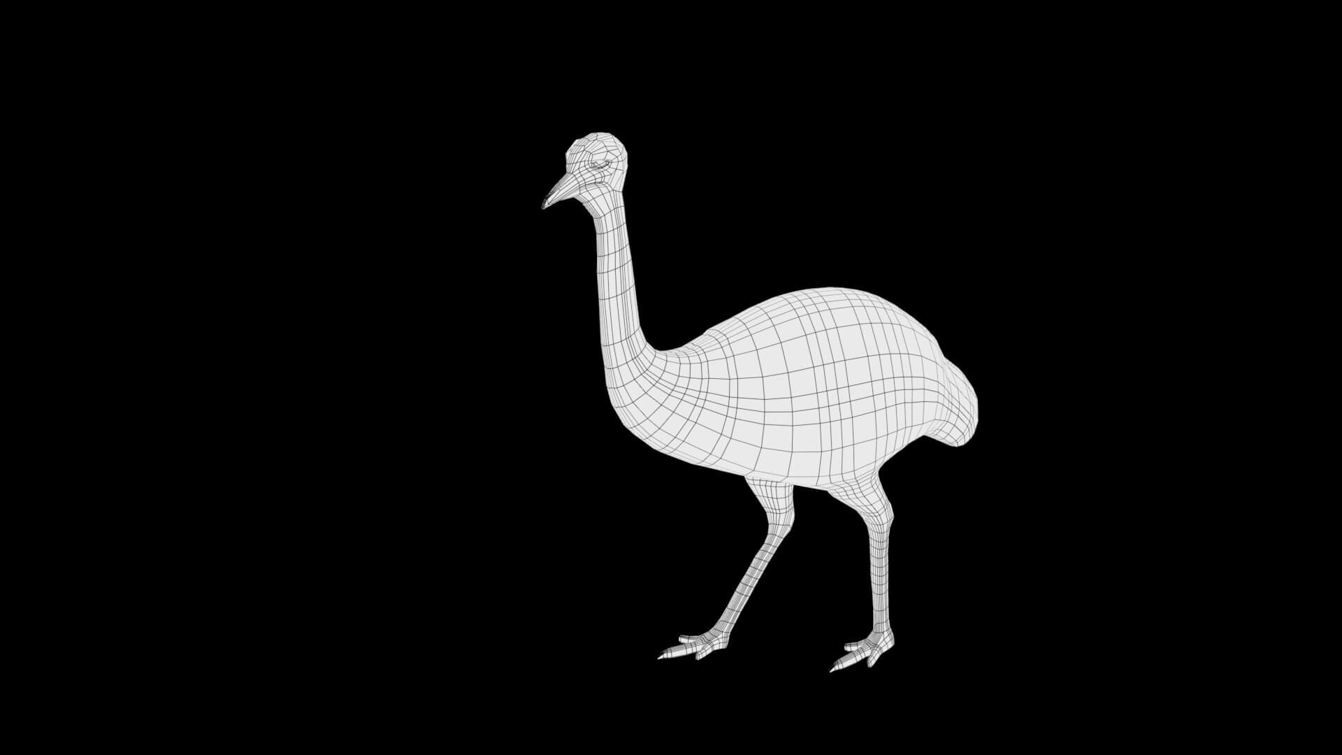 Ostrich - 3D Model by george55555