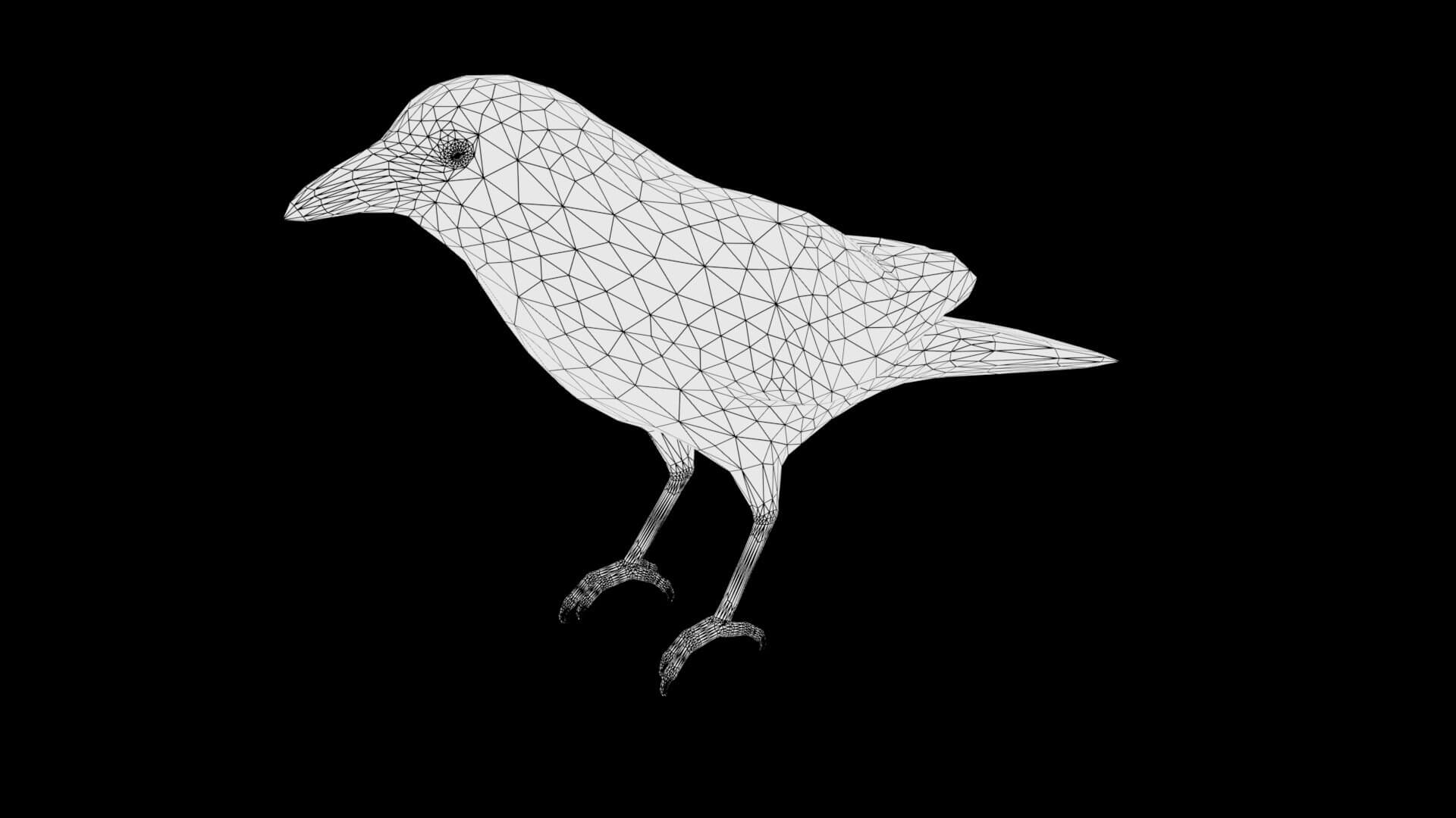 Raven Crow - 3D Model by george55555