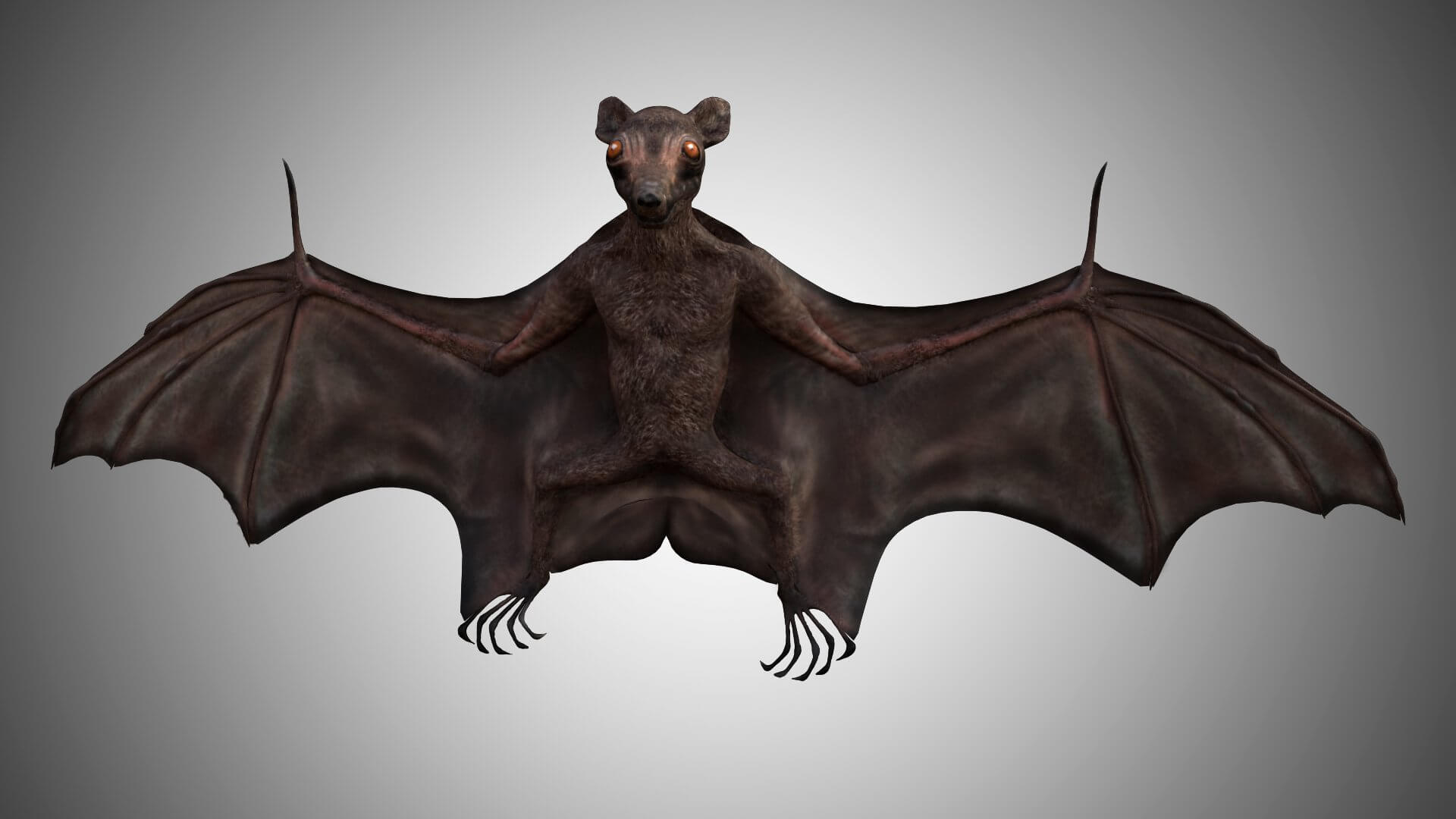 Bat - 3D Model by george55555