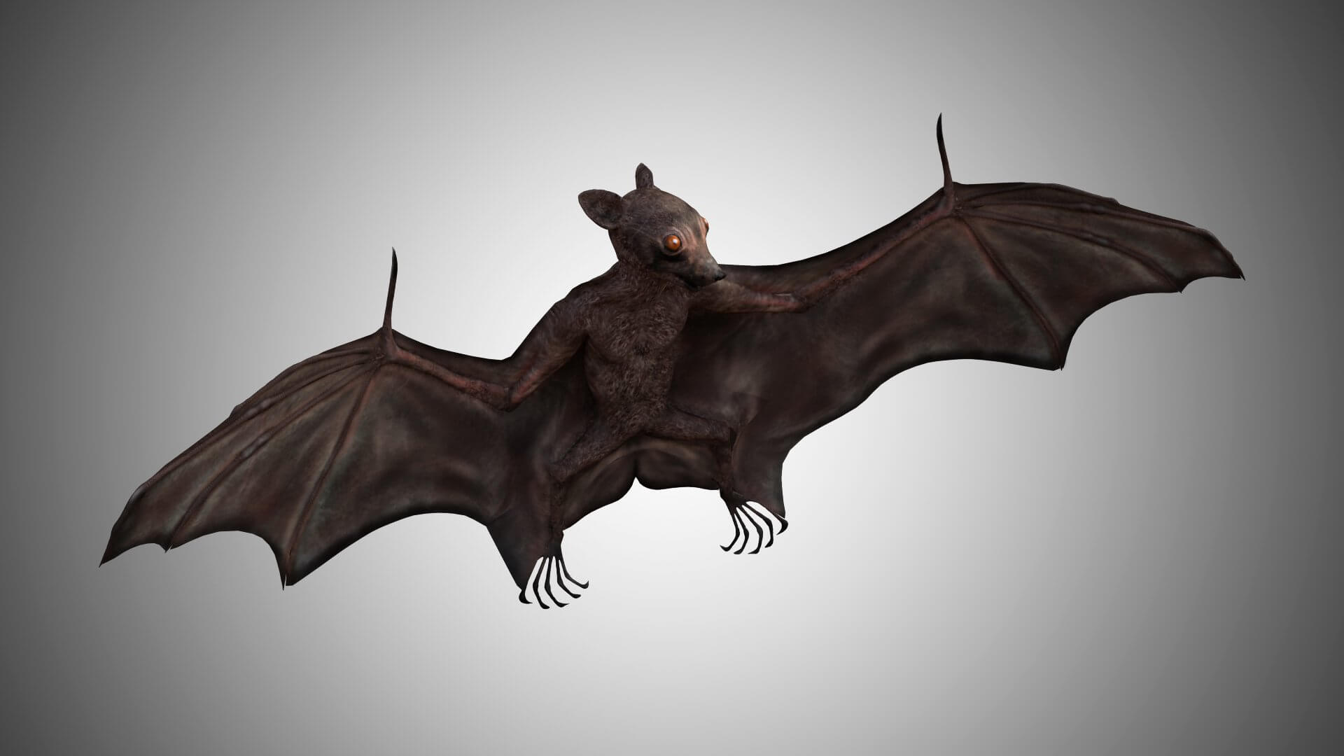 Bat - 3D Model by george55555