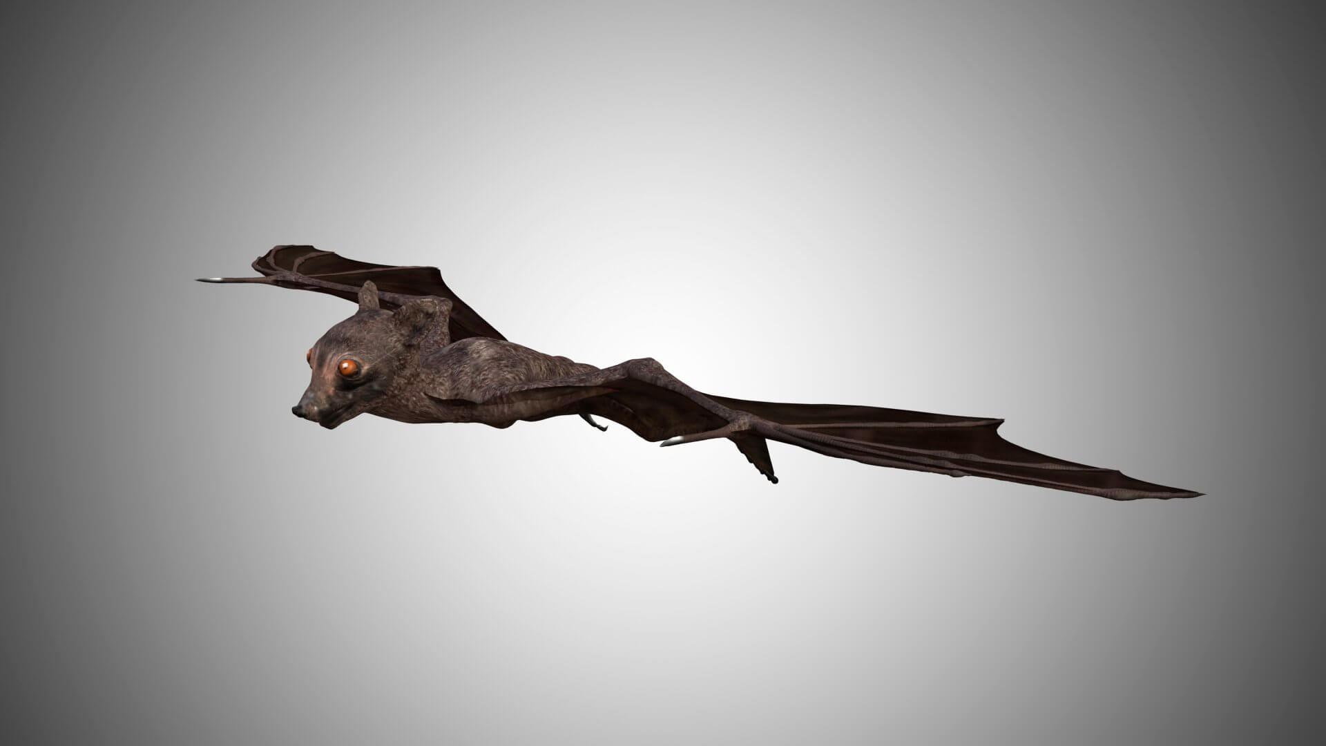 Bat - 3D Model by george55555