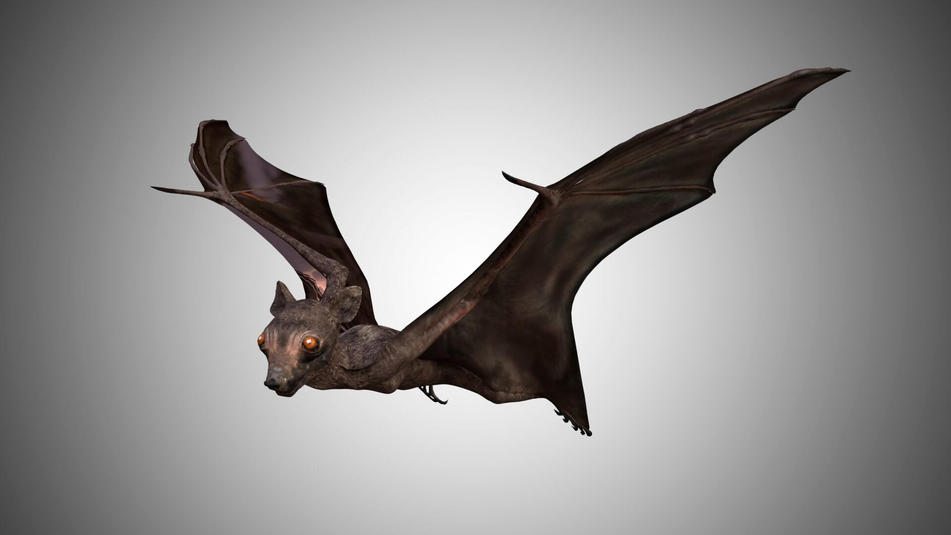 Bat - 3D Model by george55555