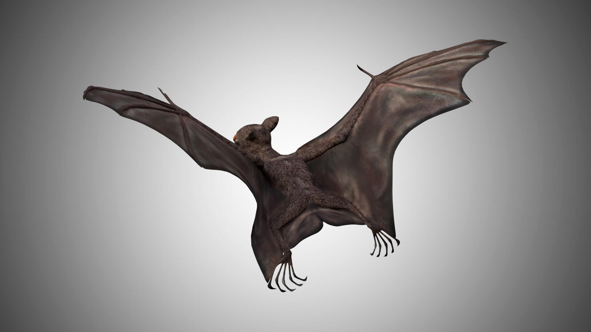 Bat - 3D Model by george55555