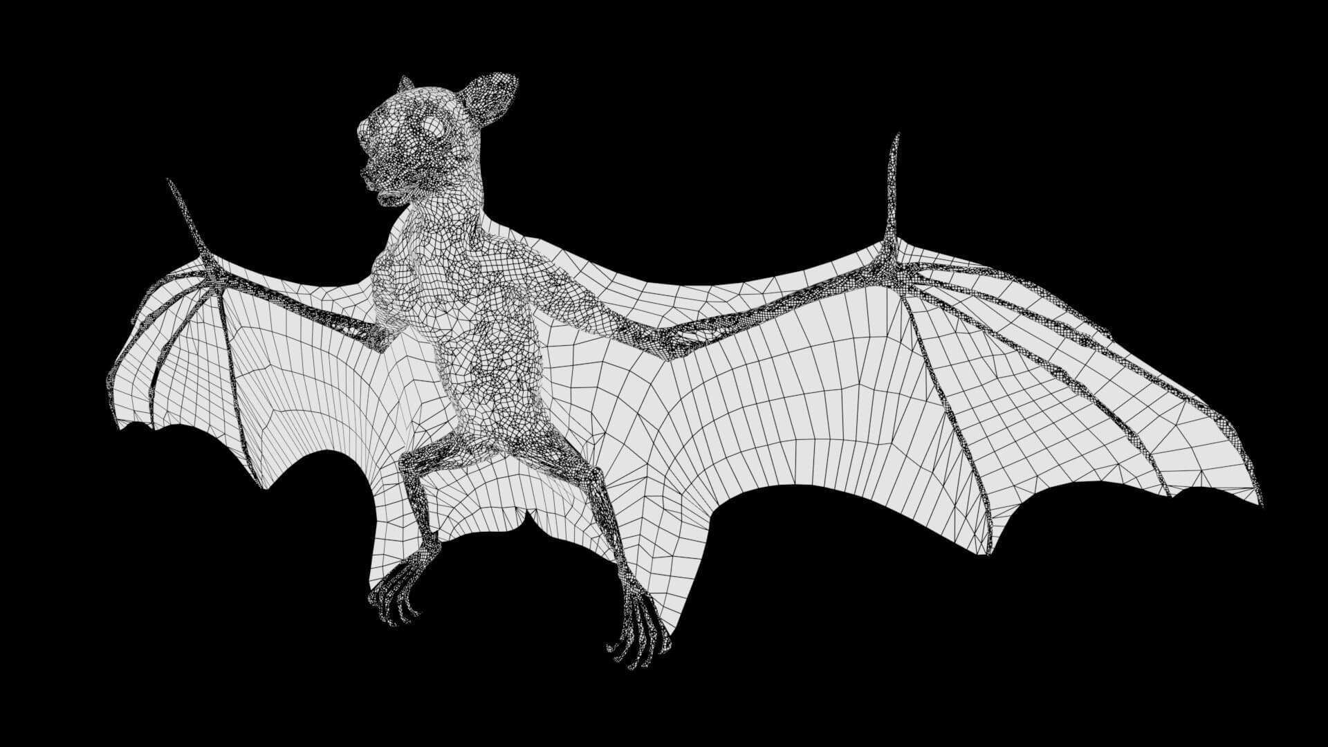 Bat - 3D Model by george55555