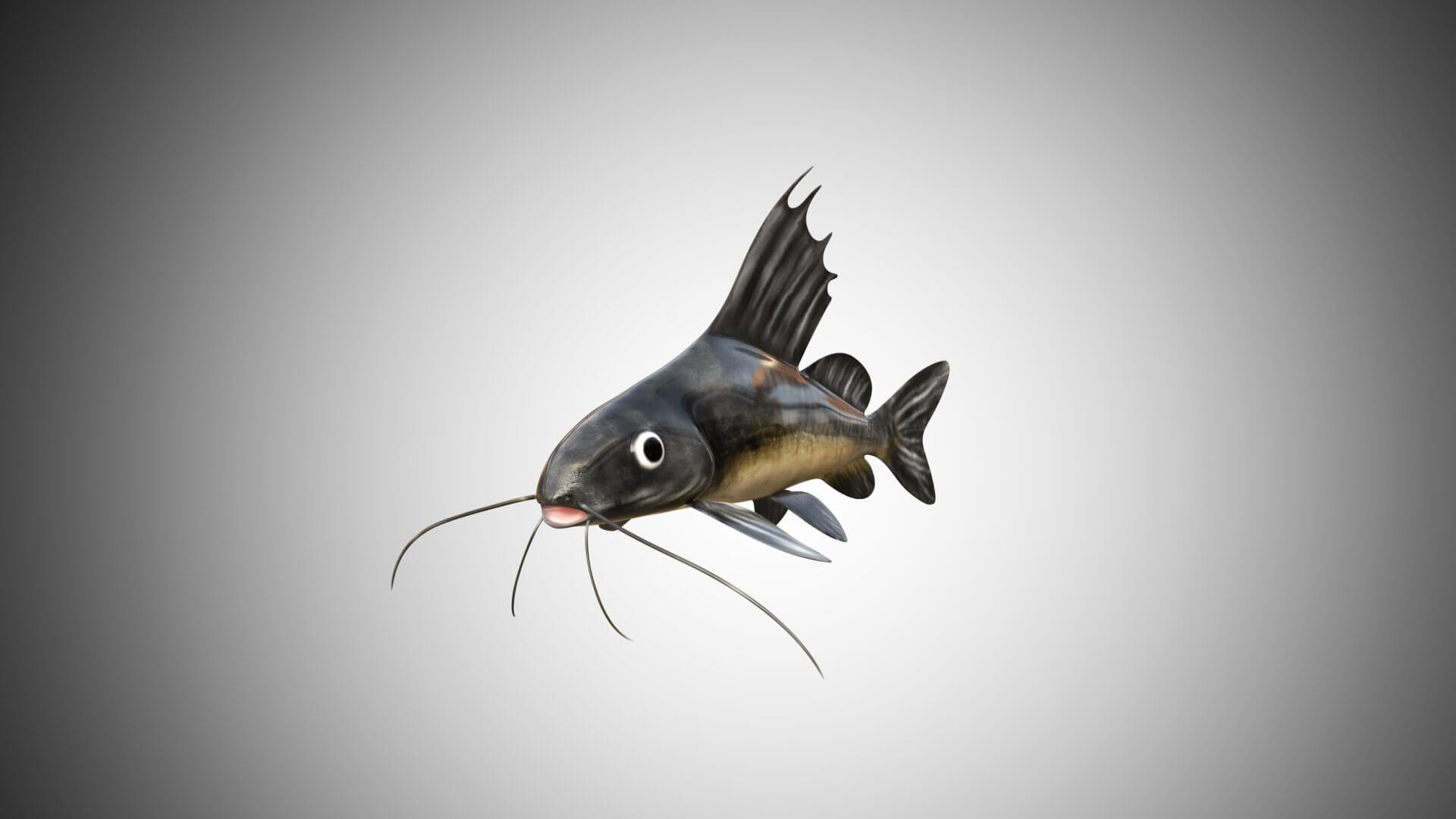 Rigged Catfish - 3D Model by george55555