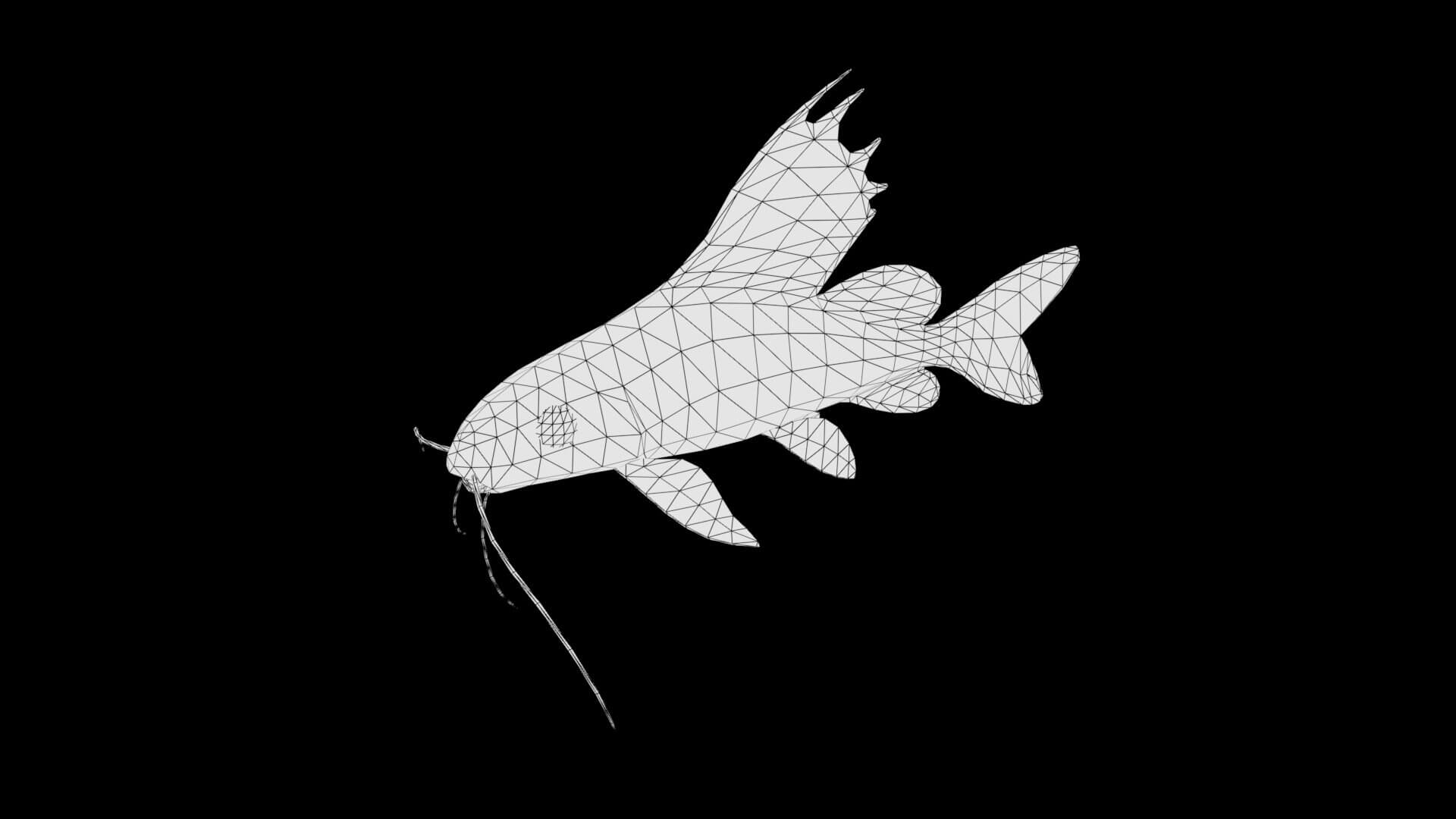 Rigged Catfish - 3D Model by george55555