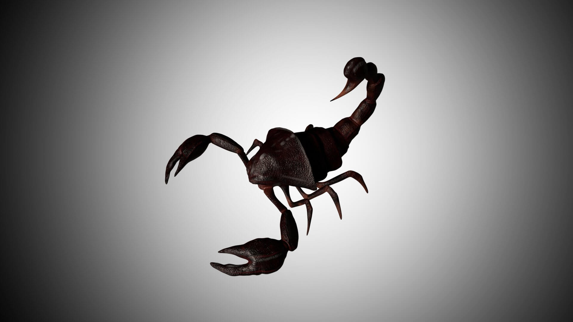 Scorpion - 3D Model by george55555