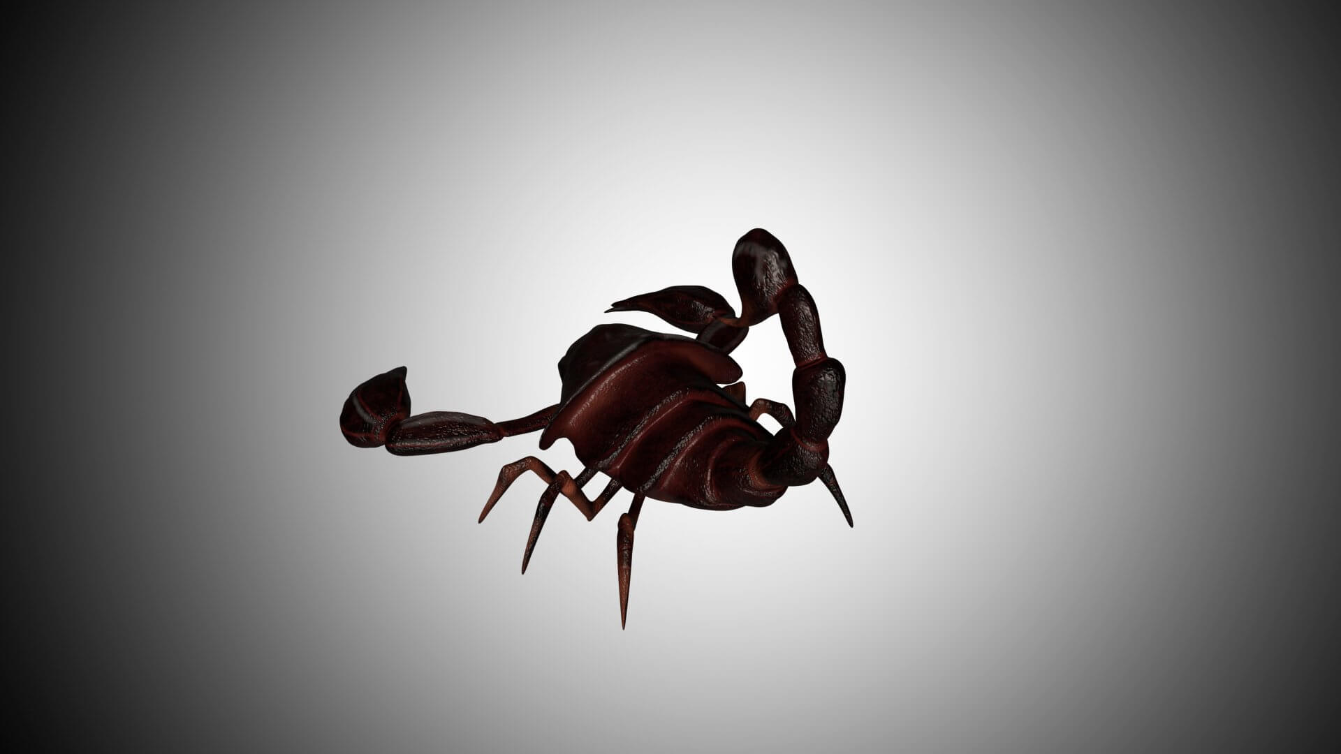 Scorpion - 3D Model by george55555