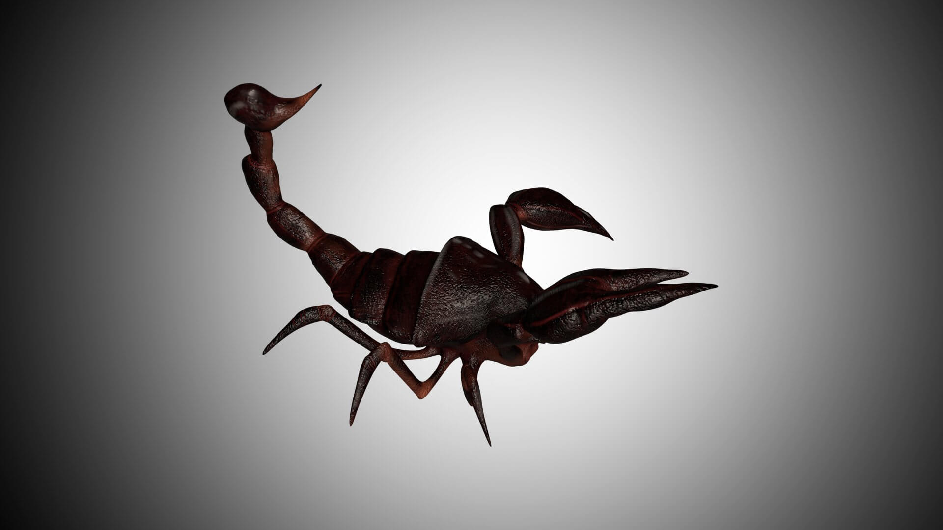 Scorpion - 3D Model by george55555