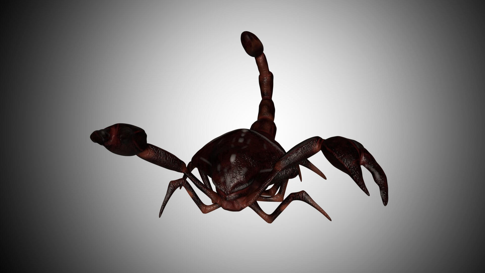 Scorpion - 3D Model by george55555