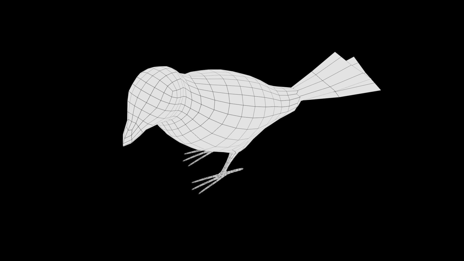 Sparrow - 3D Model by george55555