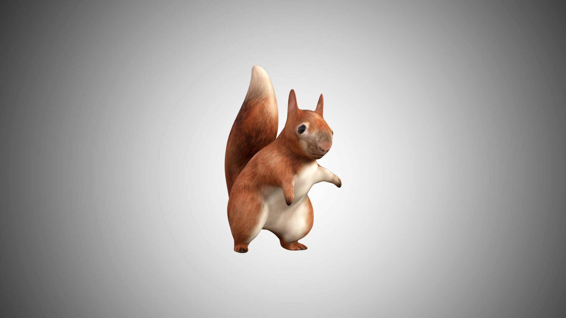 Squirrel - 3D Model by george55555