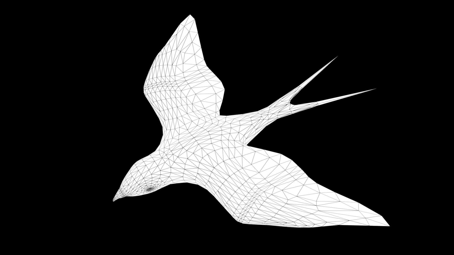 Swallow - 3D Model by george55555