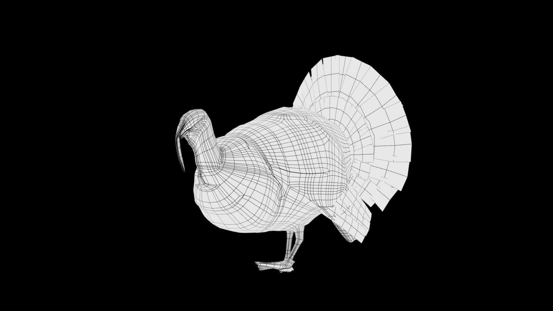 Turkey - 3D Model by george55555