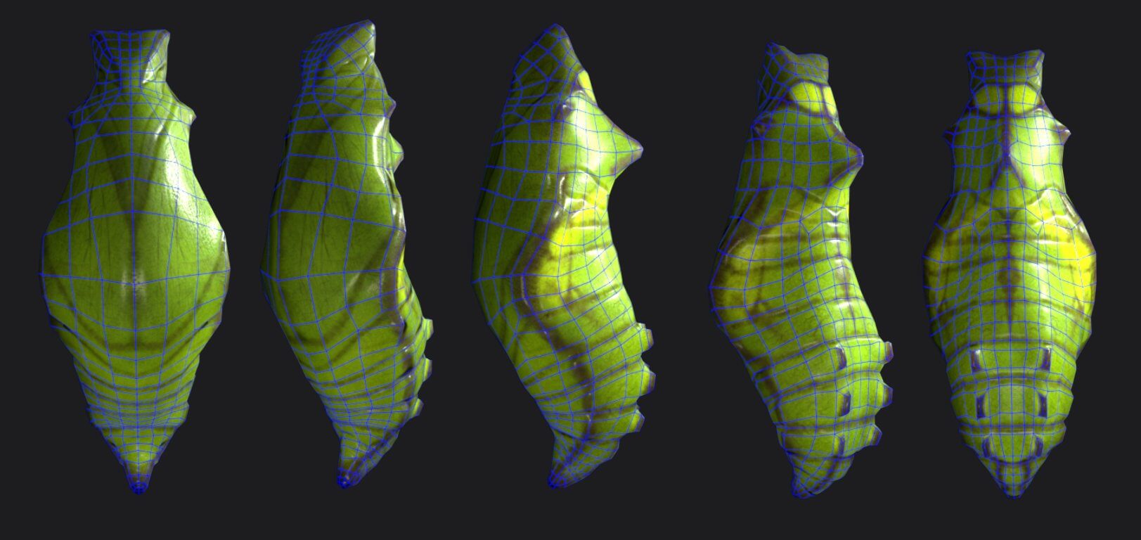 Chrysalis 3 - 3D Model by Gespenst