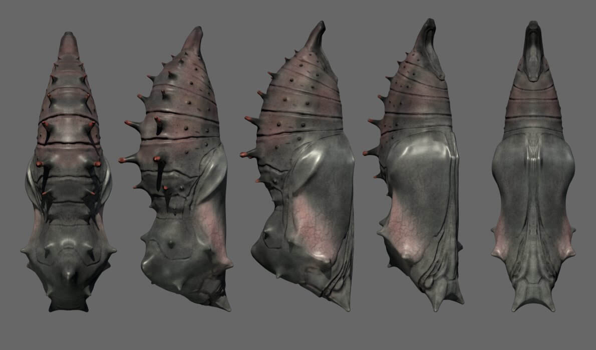 Chrysalis 4 - 3D Model by Gespenst