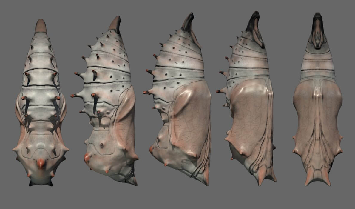 Chrysalis 4 - 3D Model by Gespenst