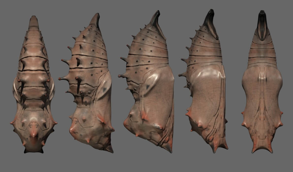 Chrysalis 4 - 3D Model by Gespenst