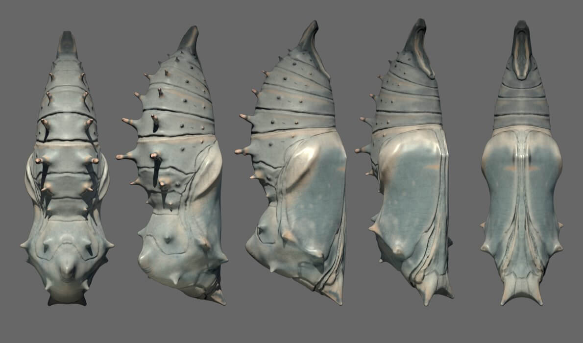 Chrysalis 4 - 3D Model by Gespenst