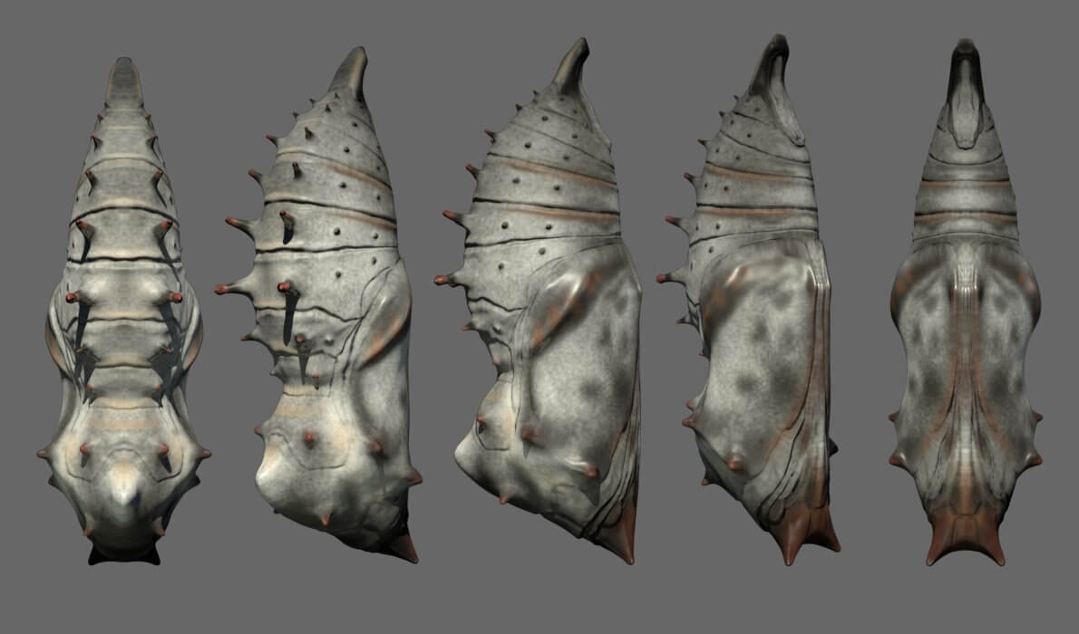 Chrysalis 4 - 3D Model by Gespenst