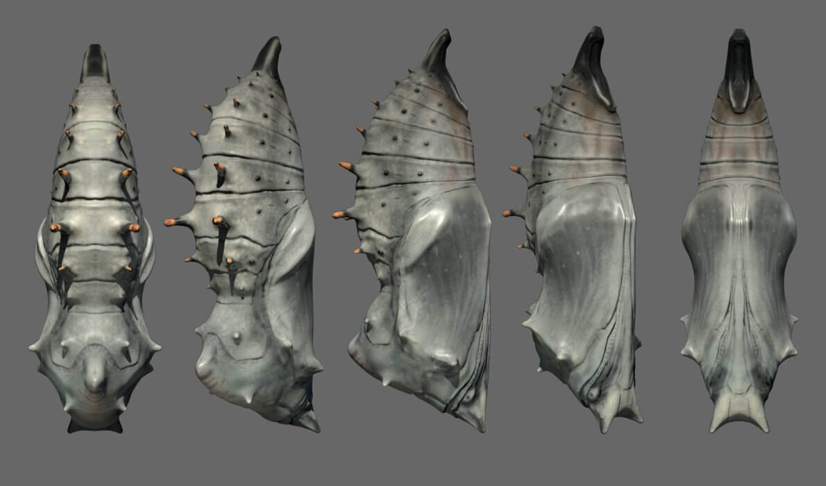 Chrysalis 4 - 3D Model by Gespenst