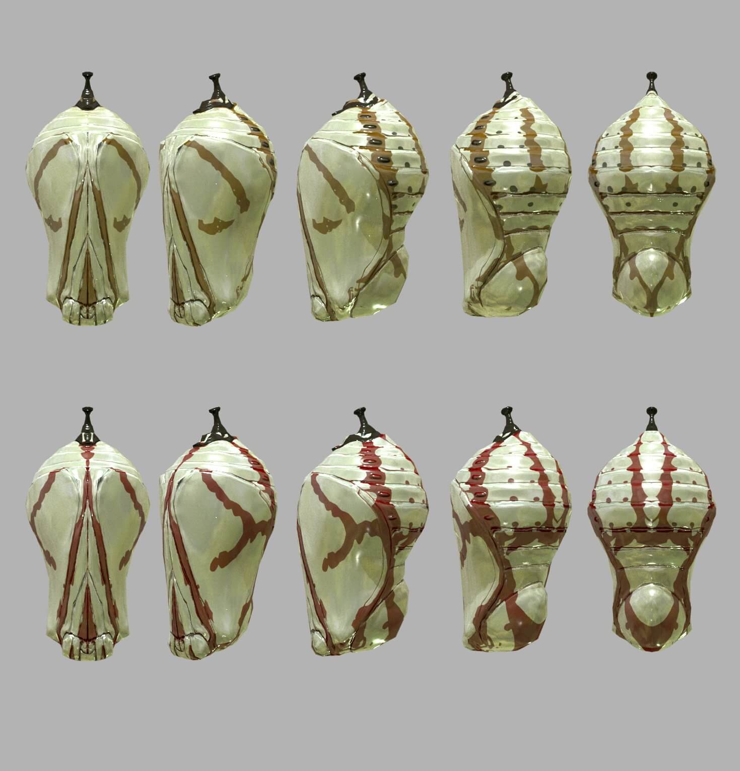 Chrysalis 5 - 3D Model by Gespenst