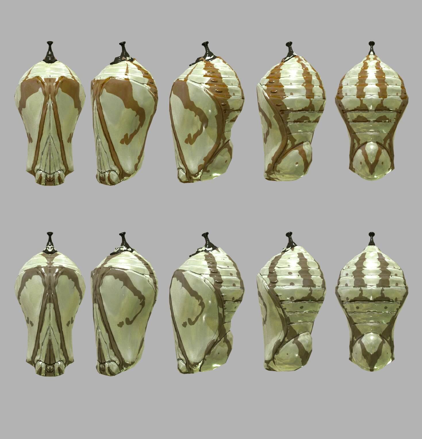 Chrysalis 5 - 3D Model by Gespenst