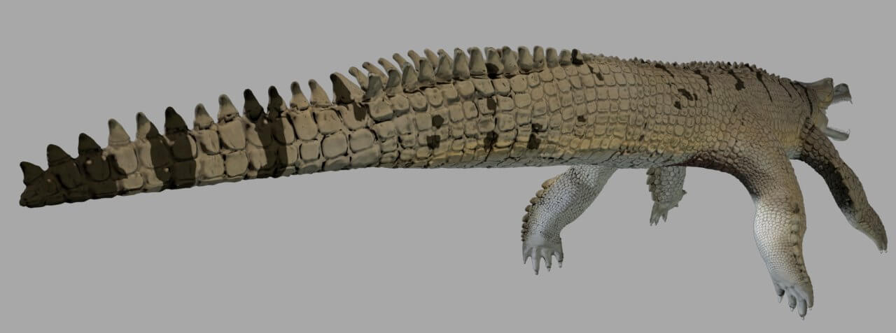 Gavial Gharial - 3D Model by Gespenst