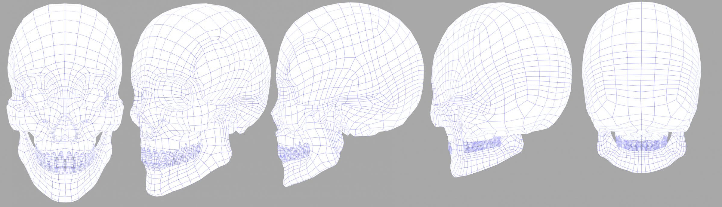 Human Skull - 3D Model by Gespenst
