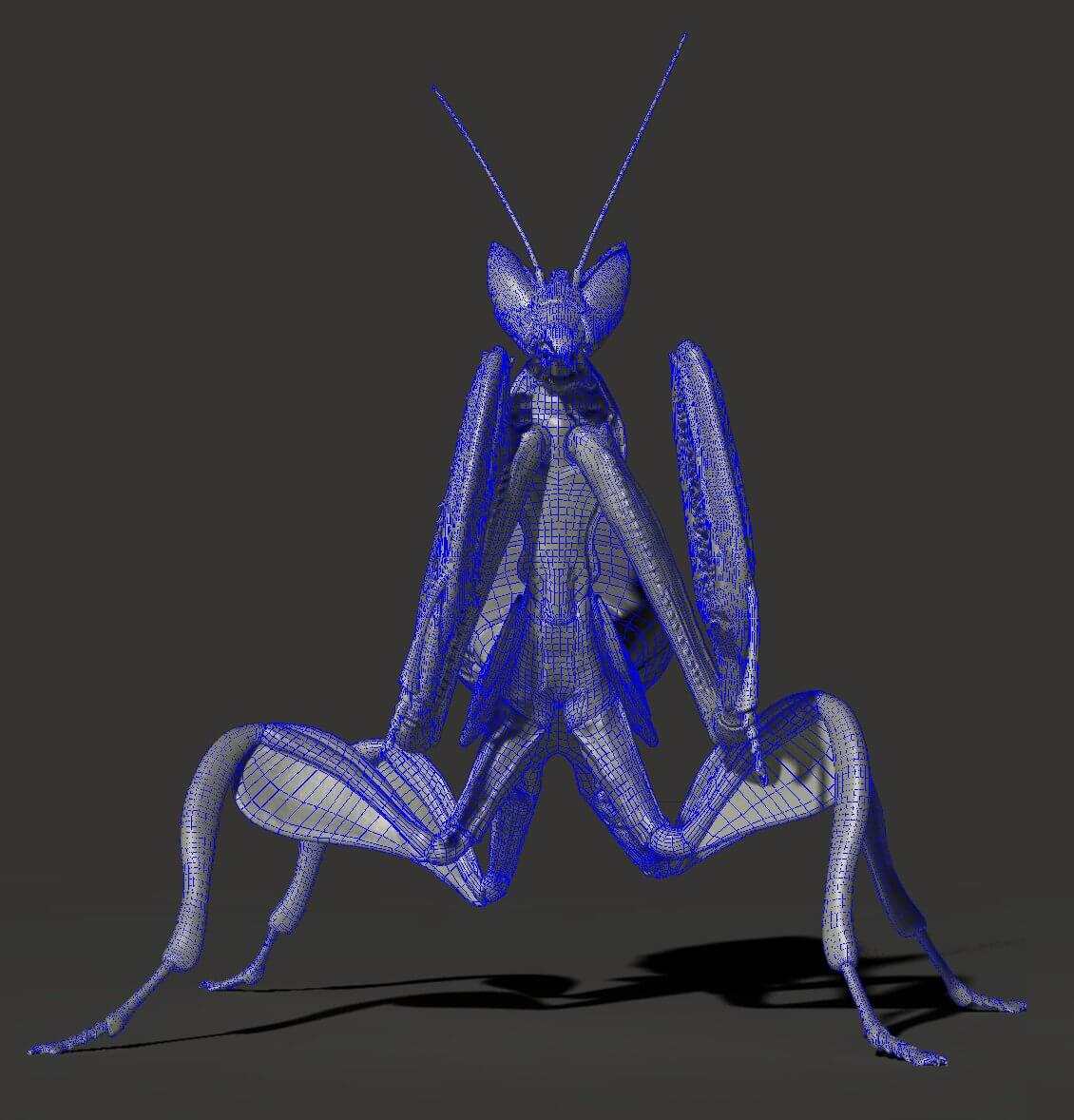 Orchid Mantis - 3D Model by Gespenst