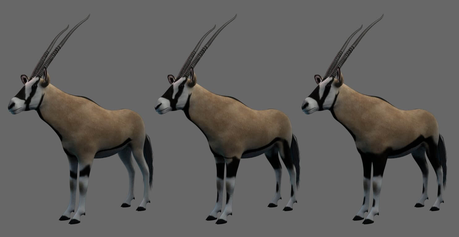 South African Oryx - 3D Model by Gespenst