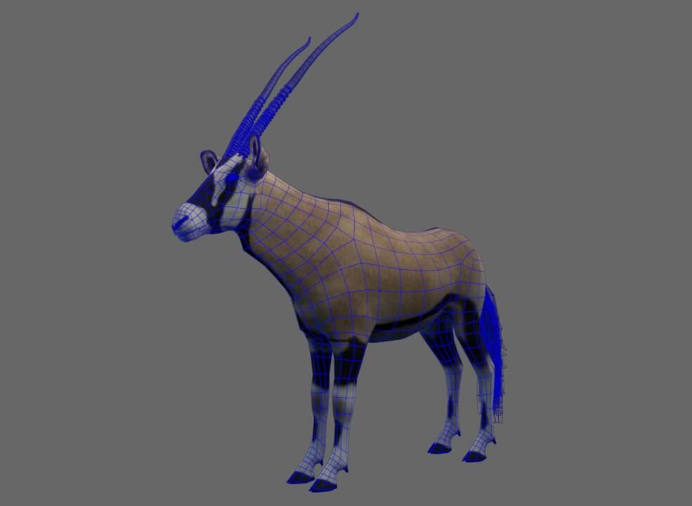 South African Oryx - 3D Model by Gespenst