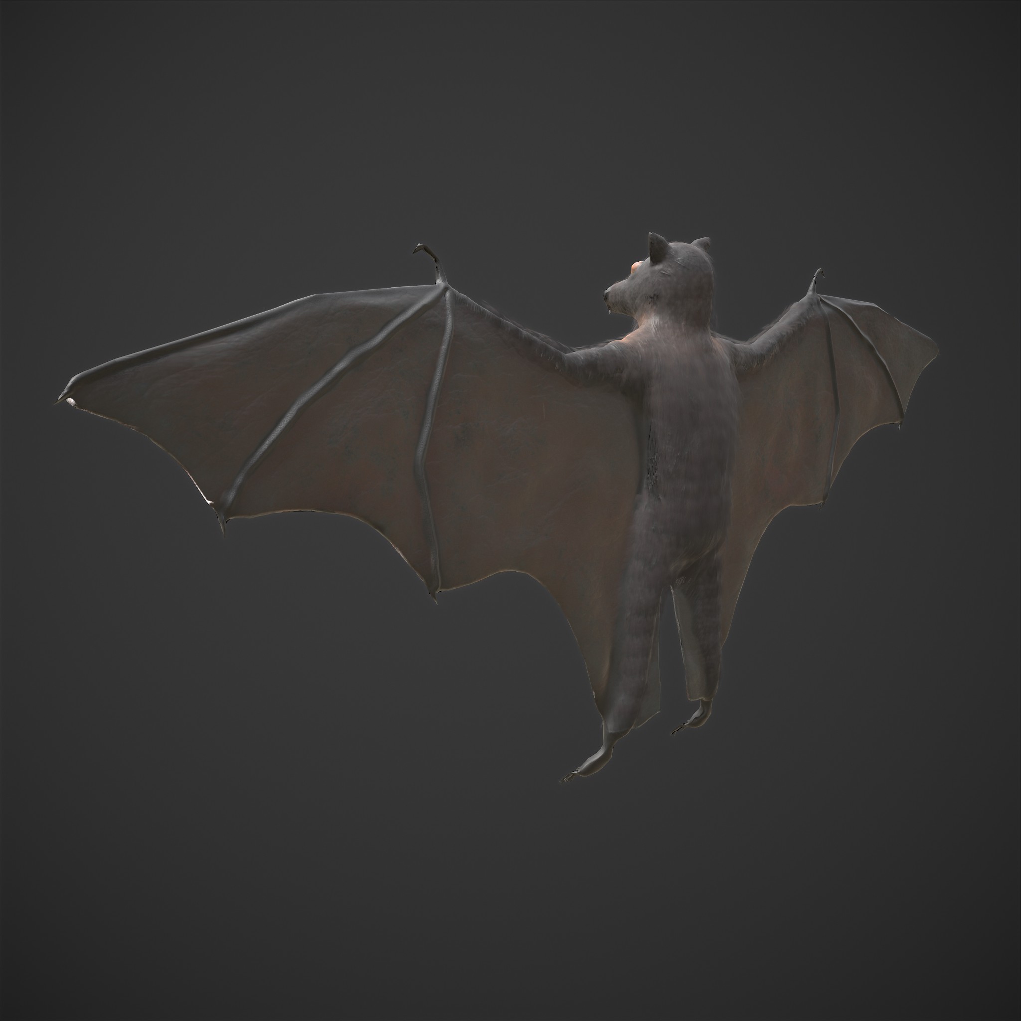 Bat Black - 3D Model by Get Dead Entertainment