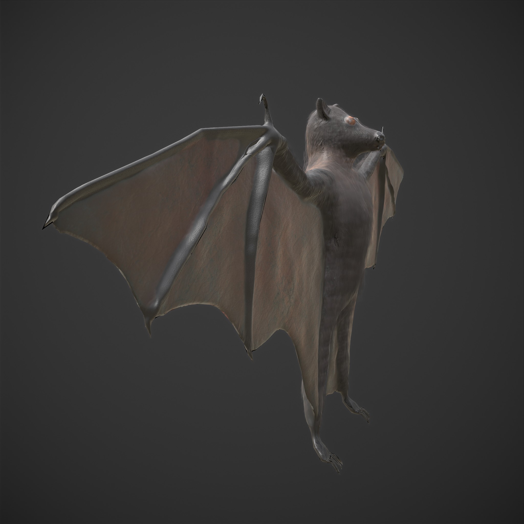 Bat Black - 3D Model by Get Dead Entertainment