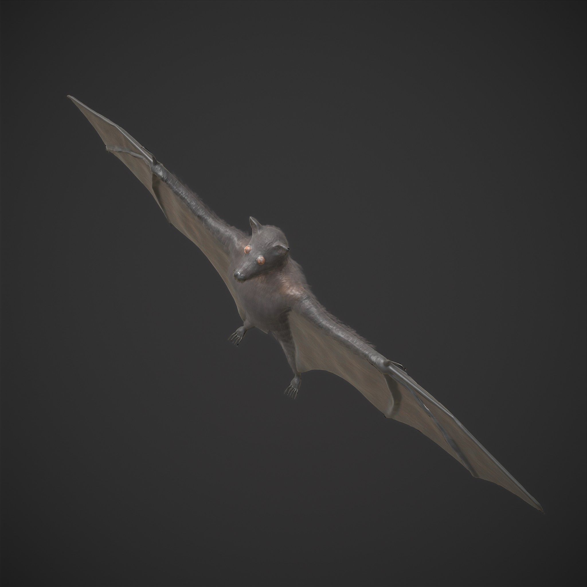 Bat Black - 3D Model by Get Dead Entertainment