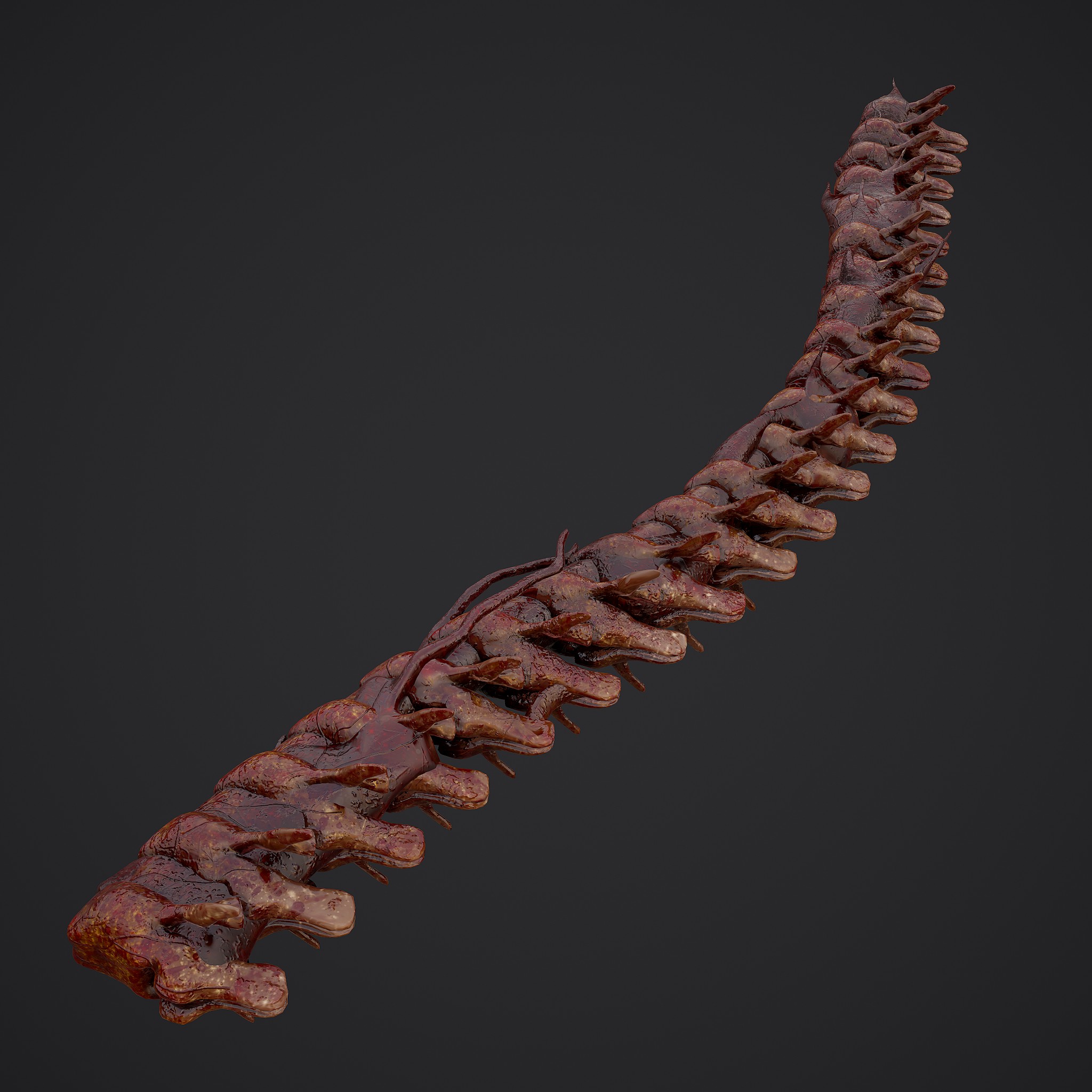 Bloody Spine - 3D Model by Get Dead Entertainment