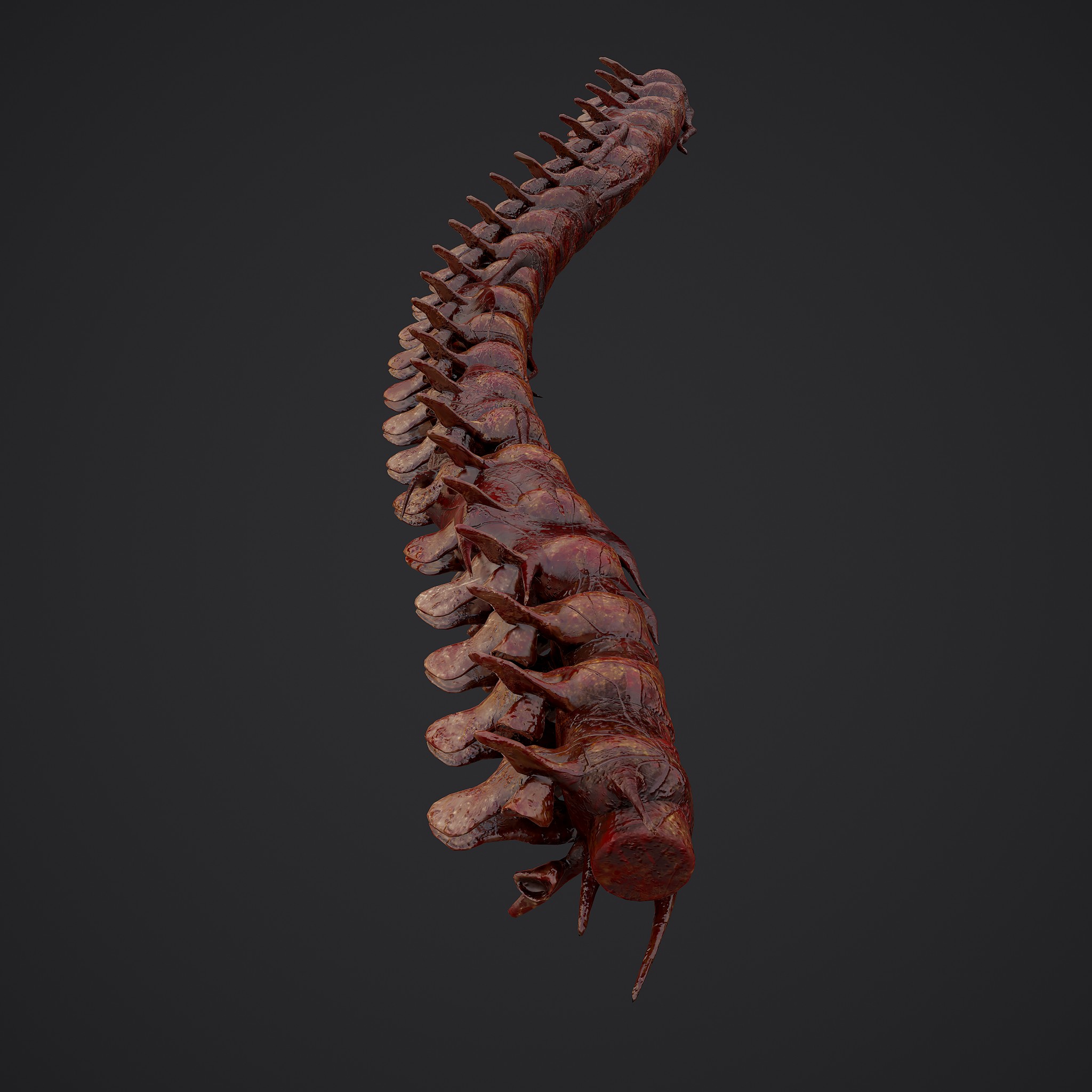 Bloody Spine - 3D Model by Get Dead Entertainment