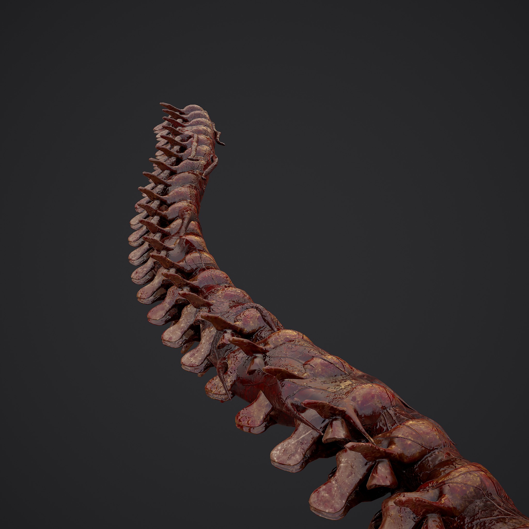 Bloody Spine - 3D Model by Get Dead Entertainment