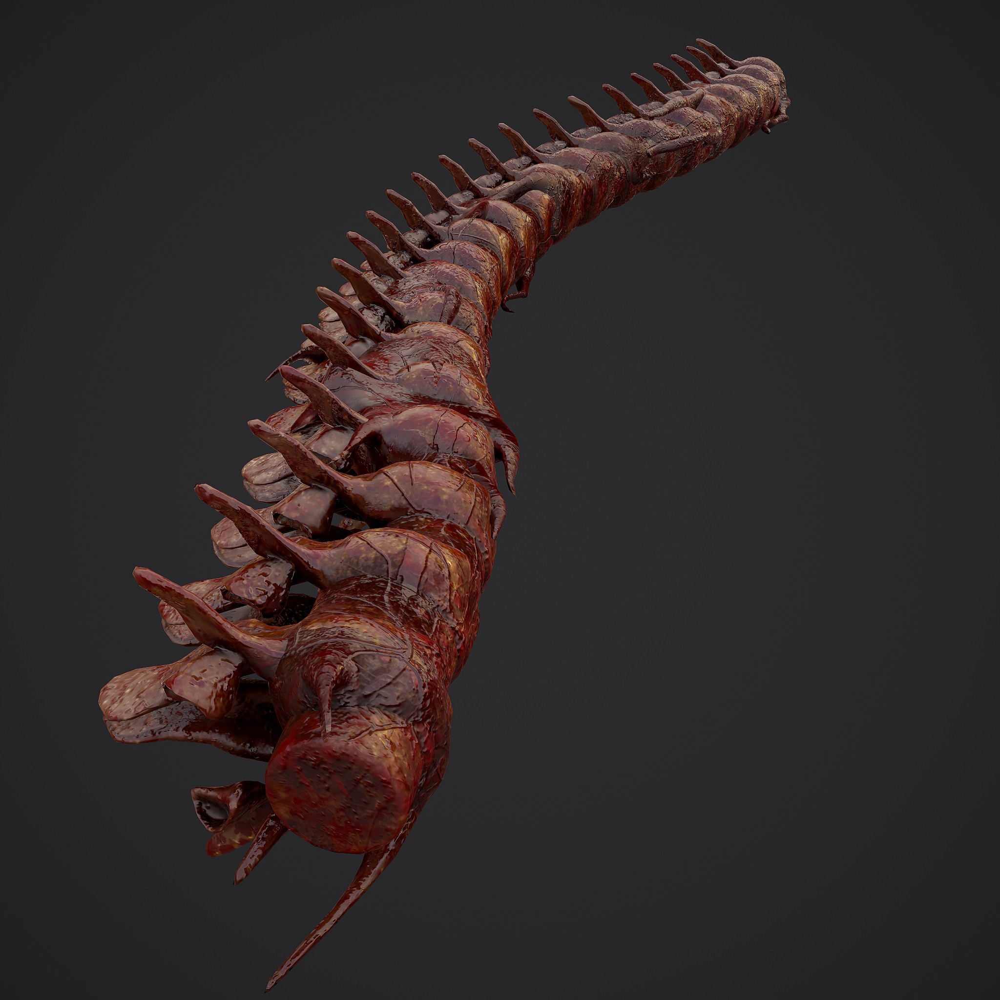 Bloody Spine - 3D Model by Get Dead Entertainment