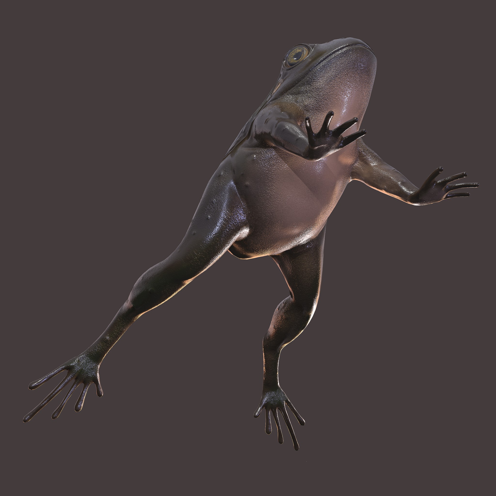 Brown Frog Toad - 3D Model by Get Dead Entertainment