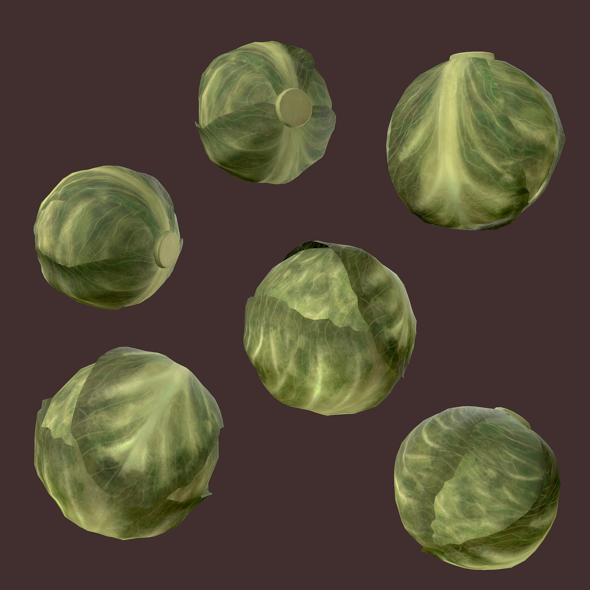Cabbage Round Green Veggie - 3D Model by Get Dead Entertainment