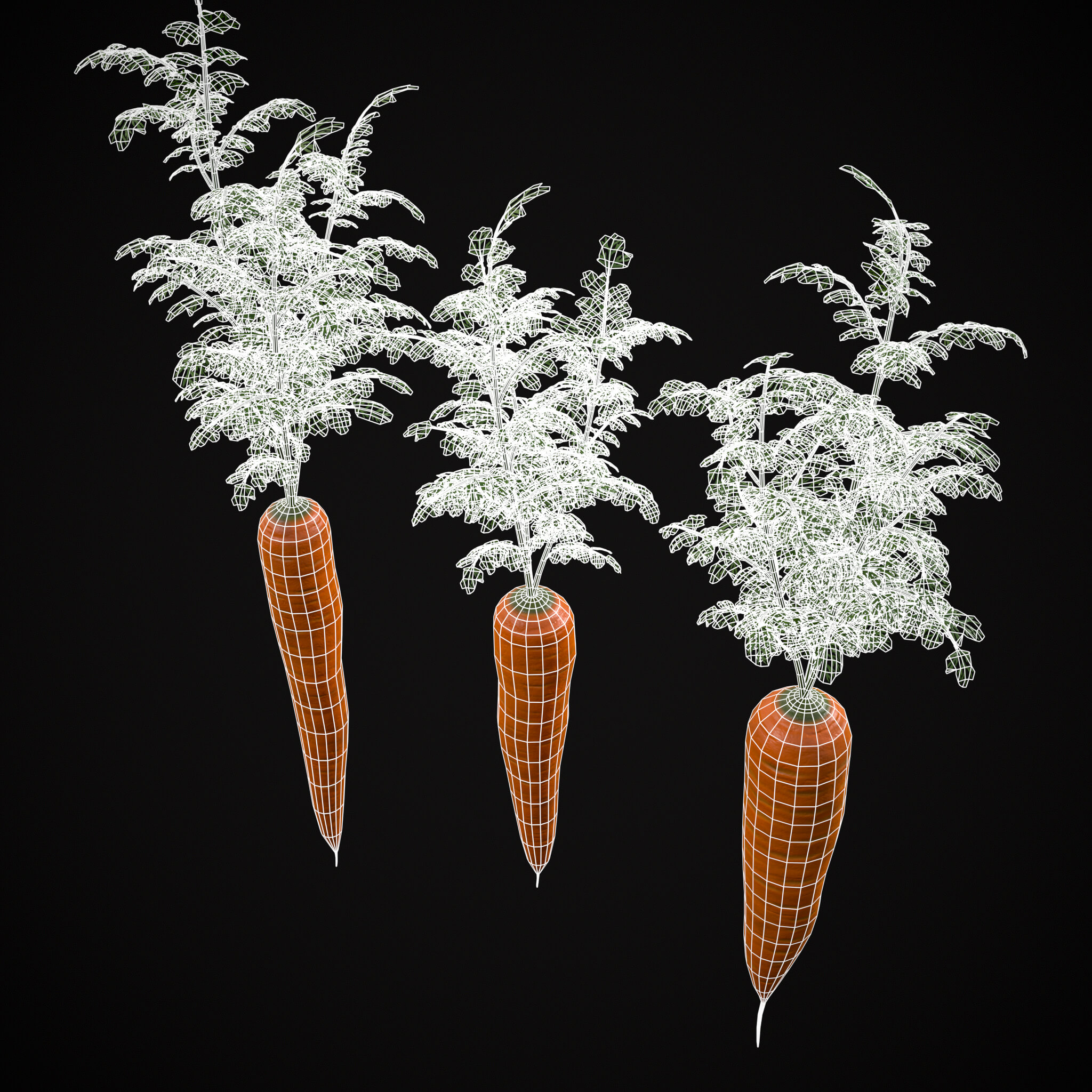 Carrots Plant Crop - 3D Model by Get Dead Entertainment