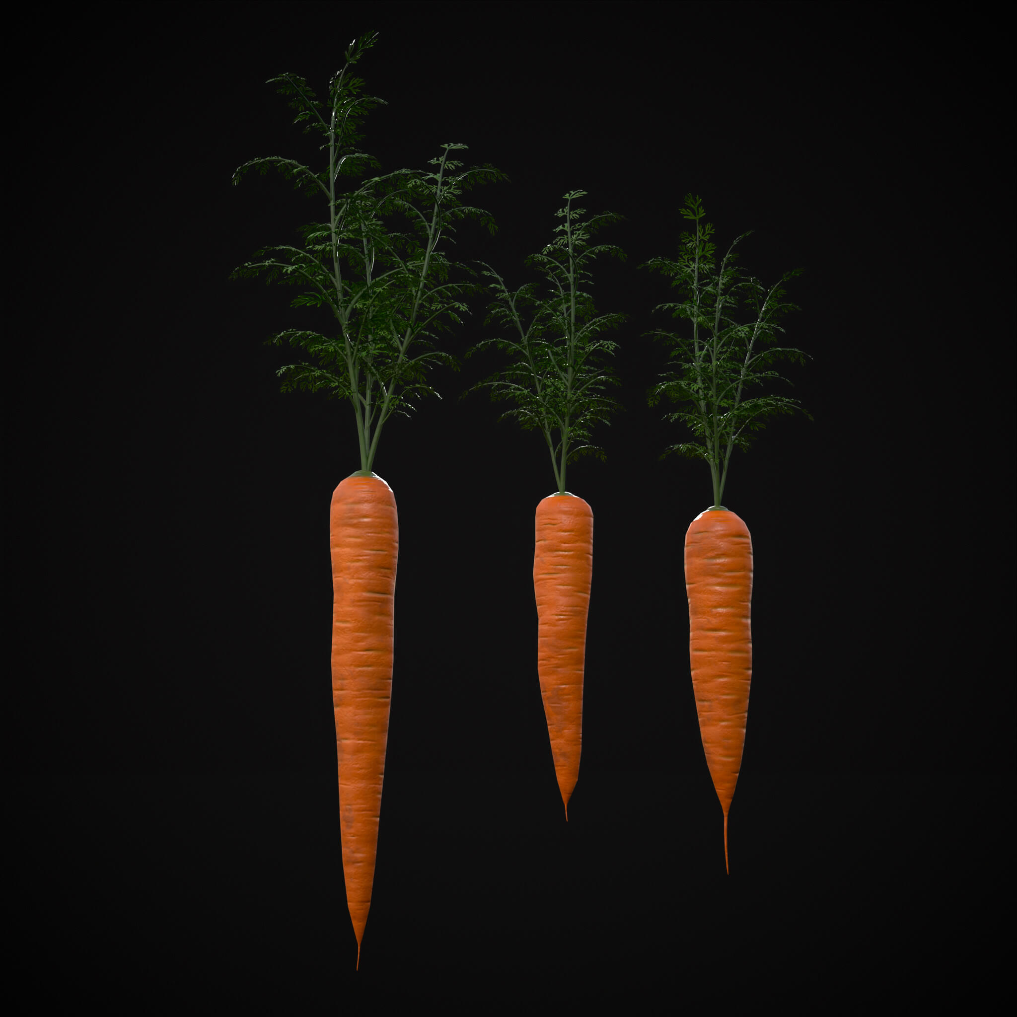 Carrots Plant Crop - 3D Model by Get Dead Entertainment