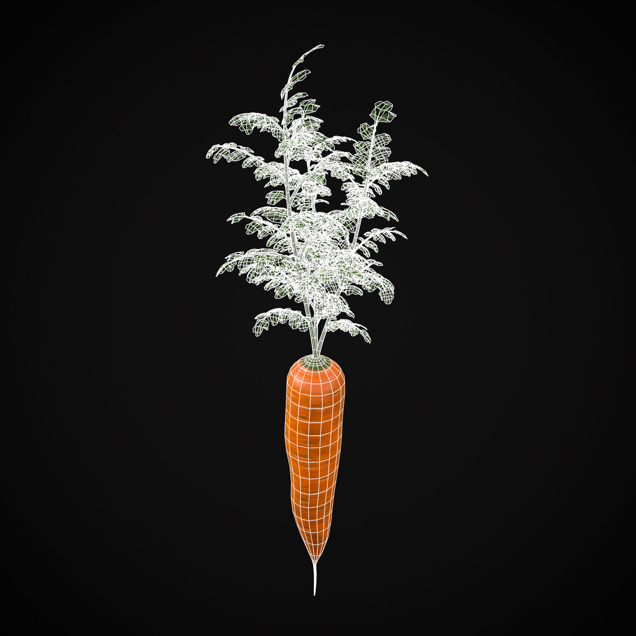Carrots Plant Crop - 3D Model by Get Dead Entertainment