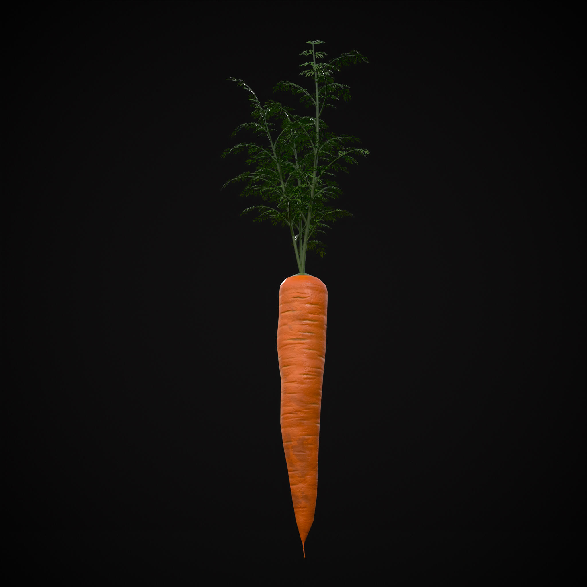 Carrots Plant Crop - 3D Model by Get Dead Entertainment