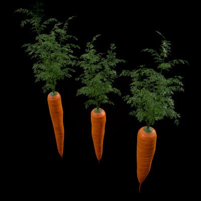 Carrots Plant Crop - 3D Model by Get Dead Entertainment