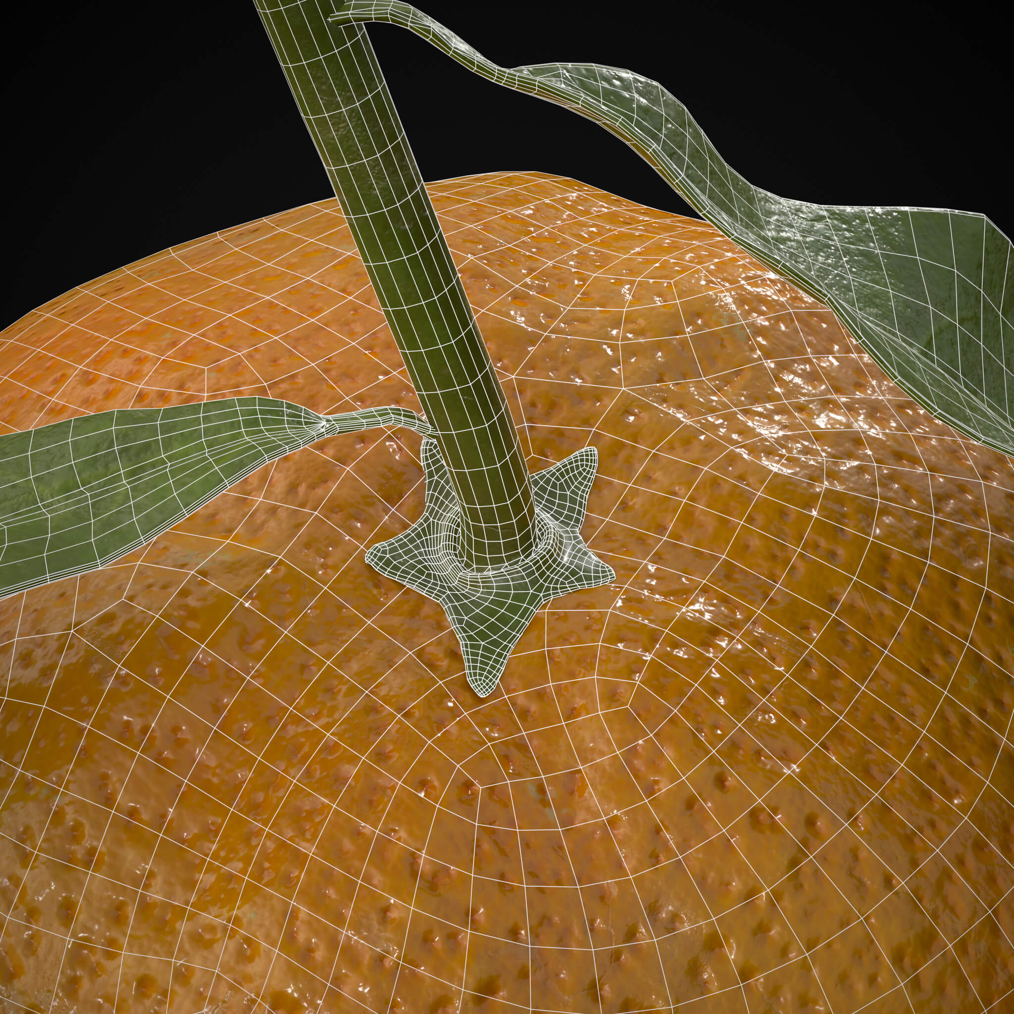 Clementine Orange - 3D Model by Get Dead Entertainment