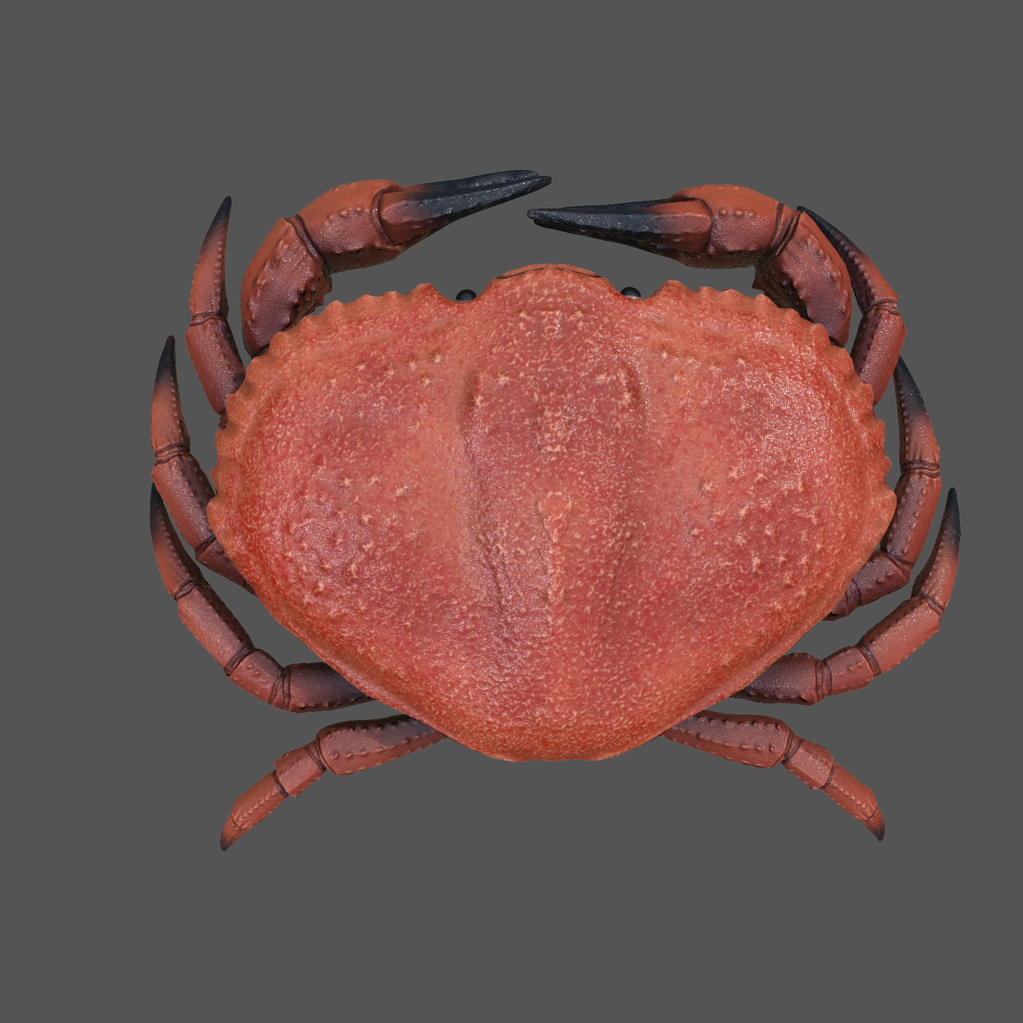 Crab Big Red - 3D Model by Get Dead Entertainment